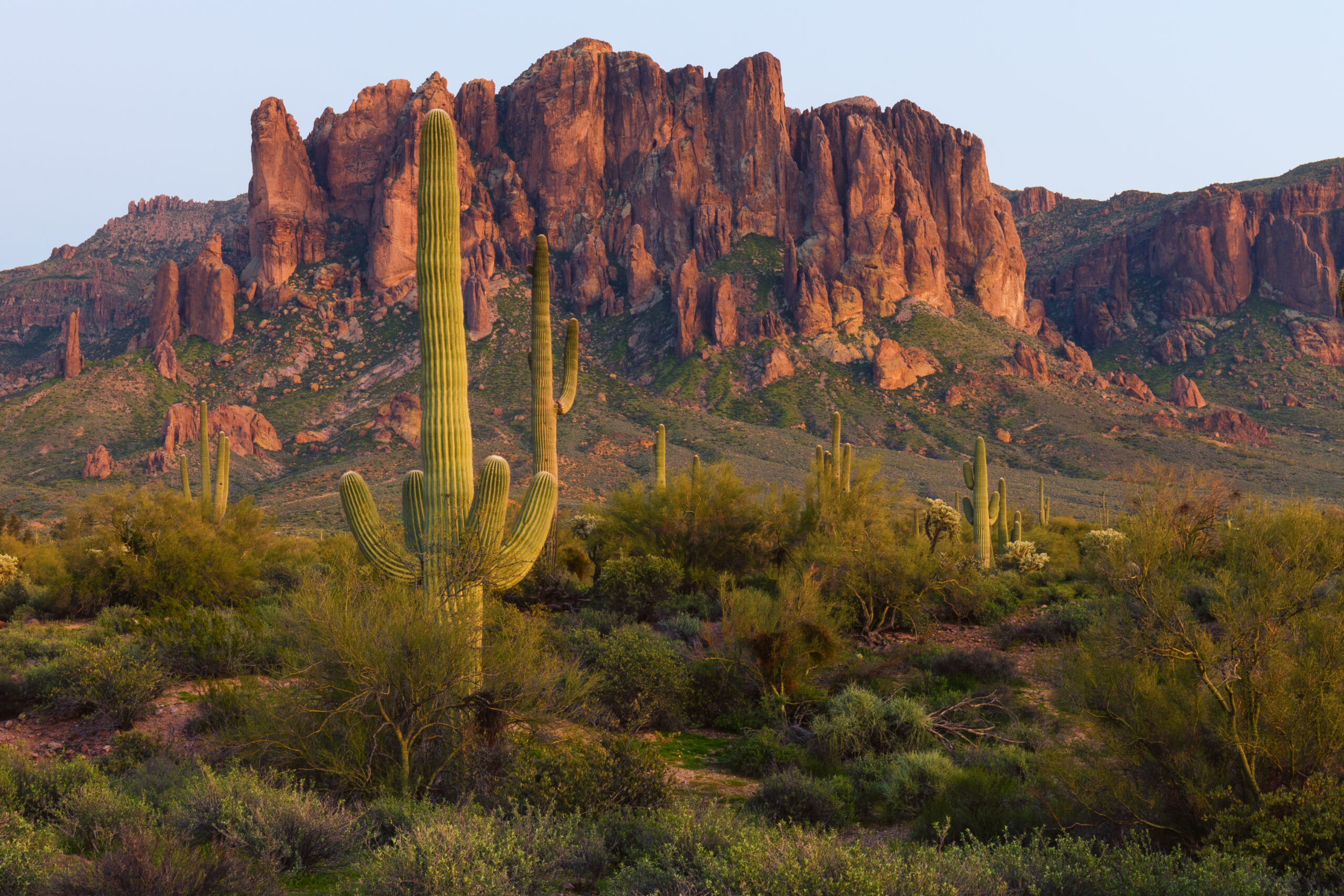 Why Traveling to Phoenix and Scottsdale Should Be Your New Year’s ...